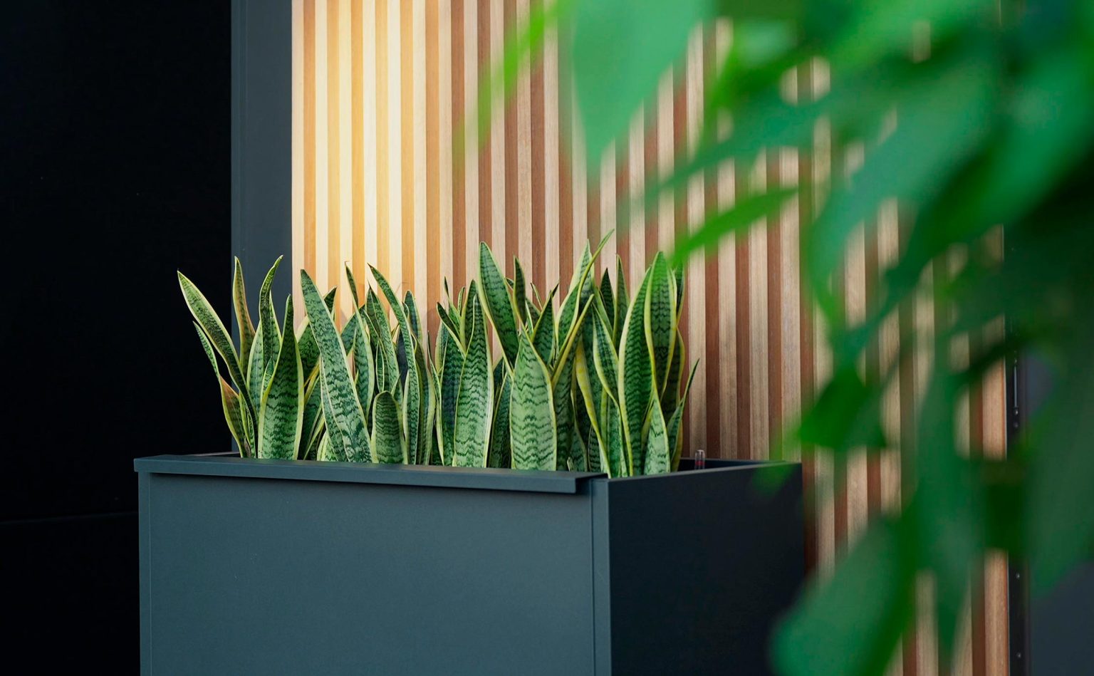 Modular metal planters. Design and versatility
